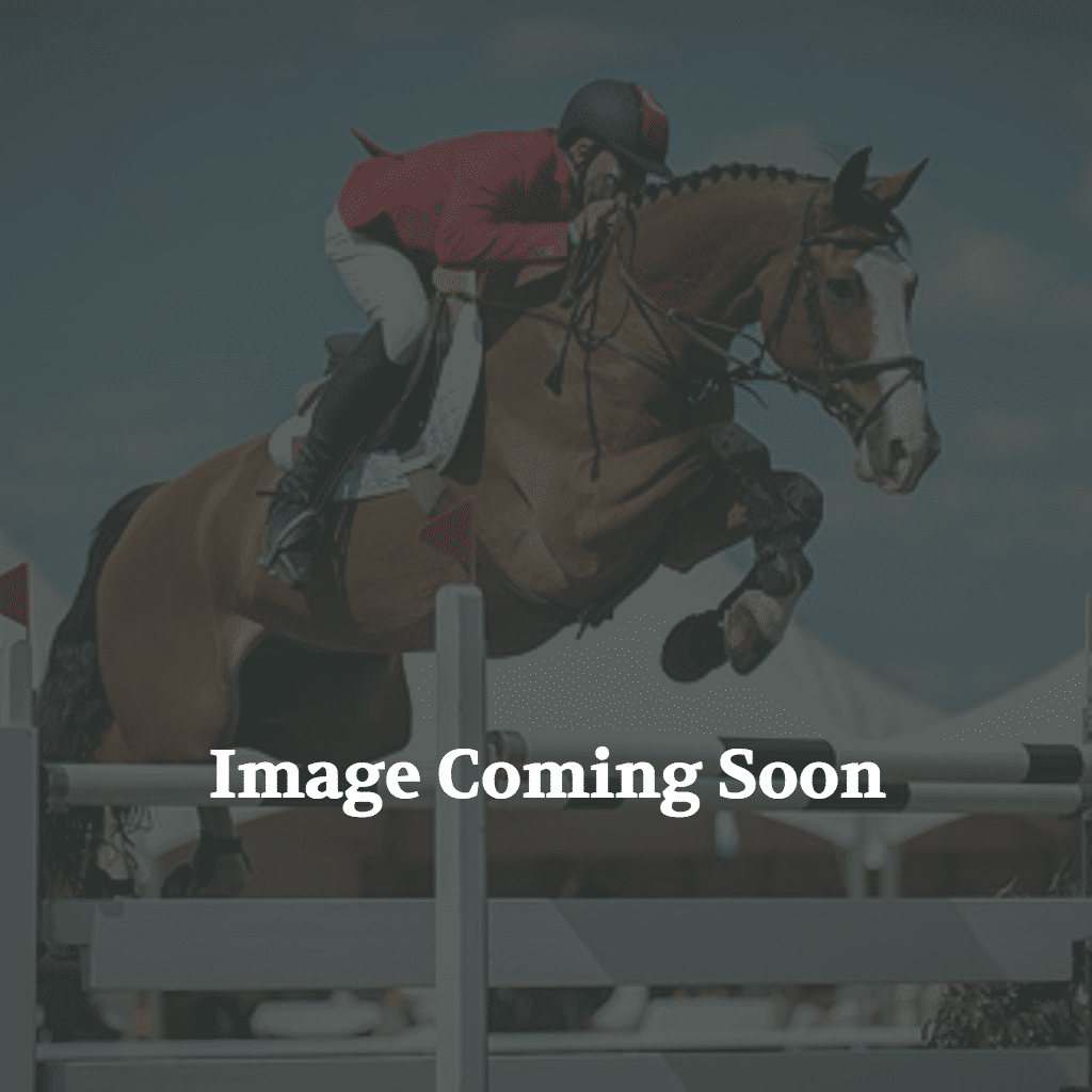 Flat Ladder Reins | EquuSport Custom Saddlery