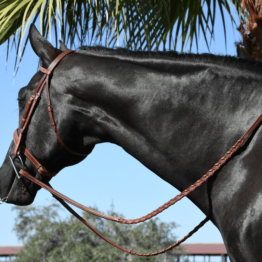 EquuSport Plain Raised Rein | EquuSport Custom Saddlery