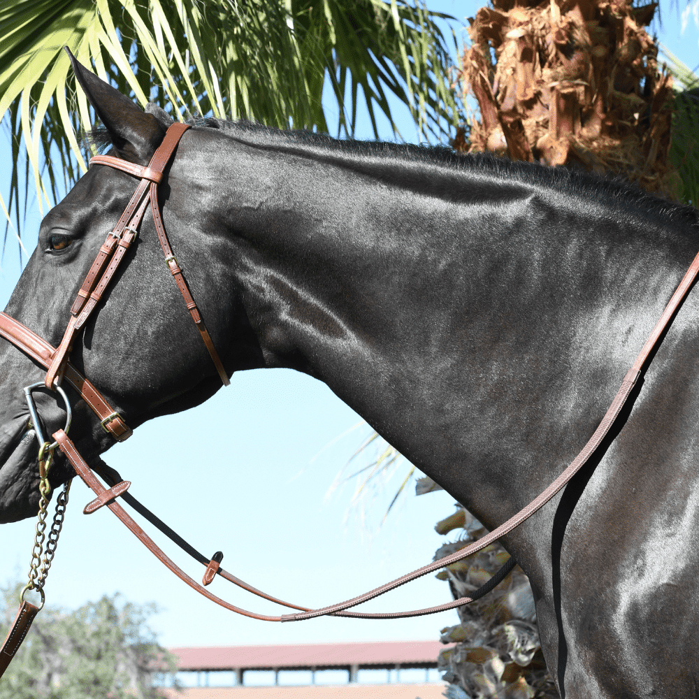 EquuSport Rubber Reins | EquuSport Custom Saddlery