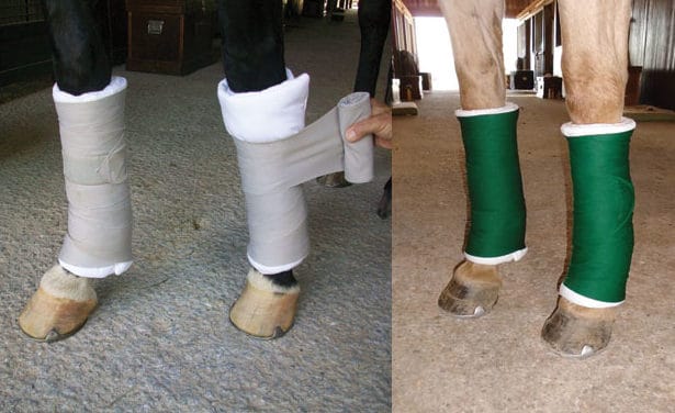 Wilker’s All Broadcloth Leg Wraps | EquuSport Custom Saddlery
